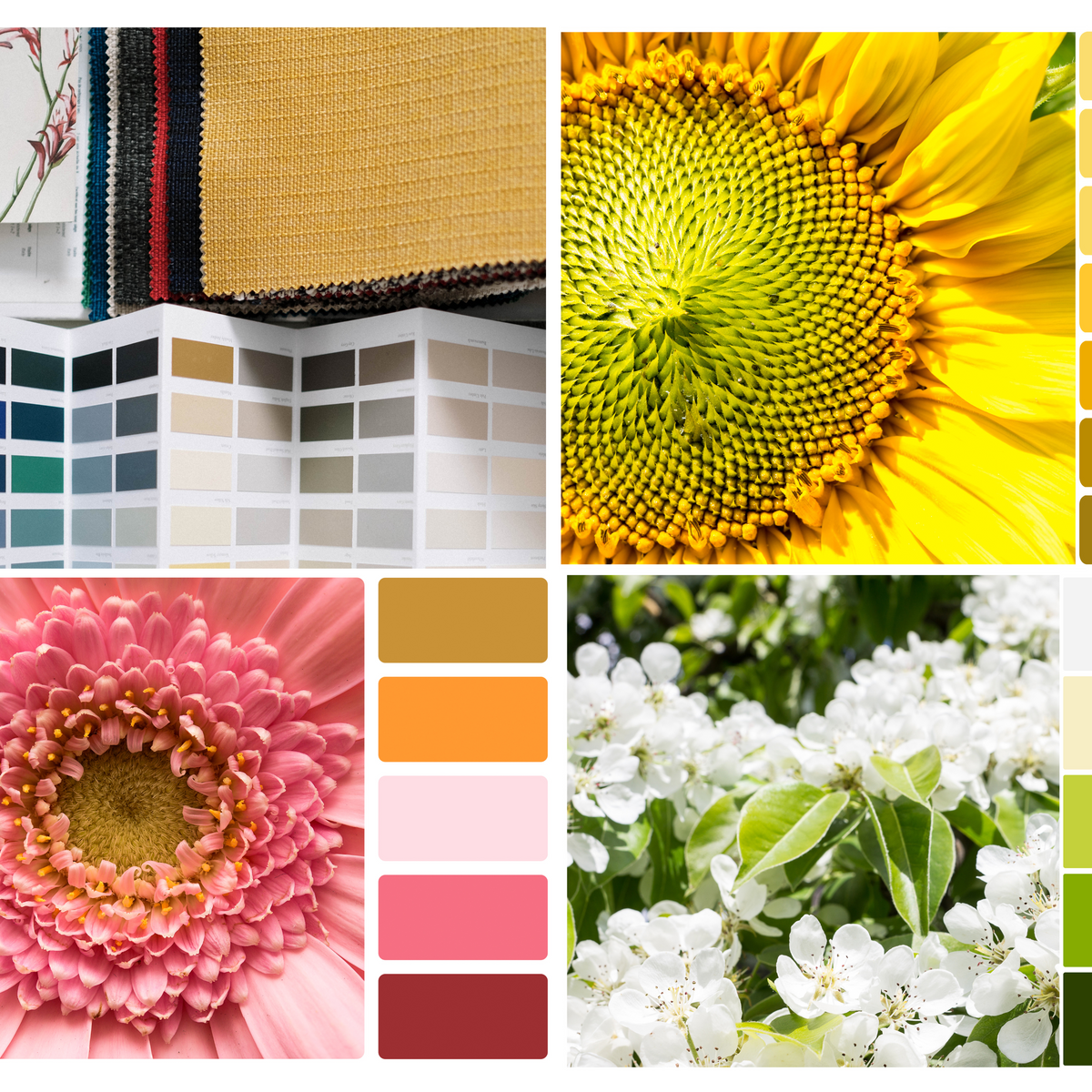 8 Flower Color Combinations that Designers Should Try – Flower Explosion