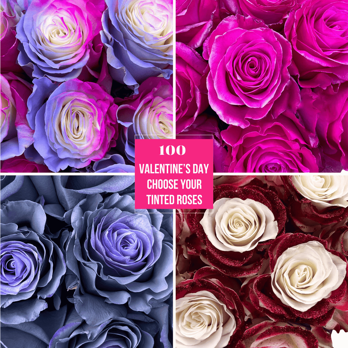 Valentine's Day Mix and Match Tinted Roses - 100 Stems Choose Your ...
