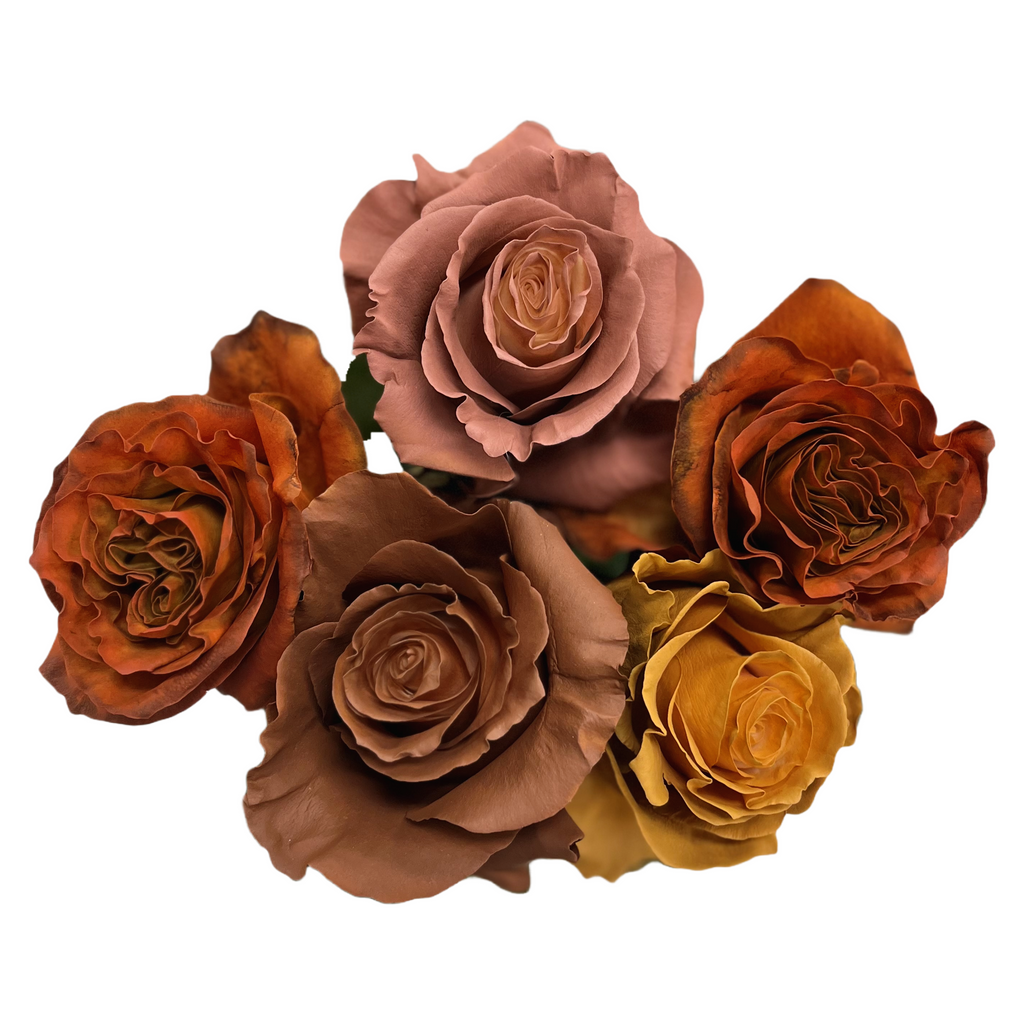 Fall Mix Roses - Flower Explosion