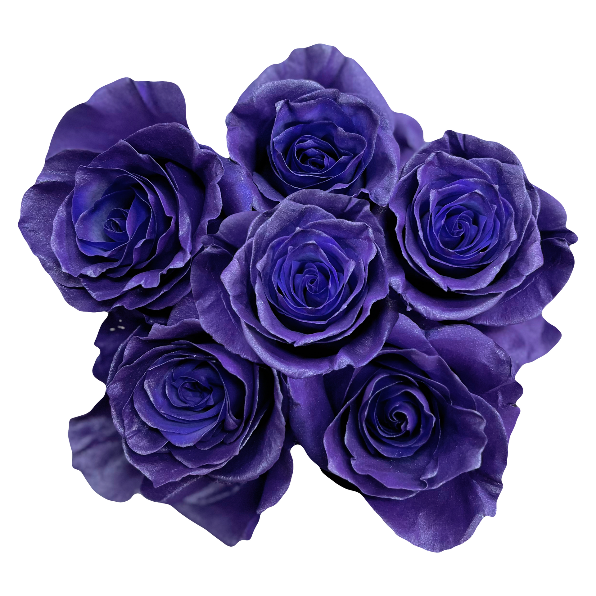 Metallic Purple Roses - Exotic Blooms Online| Flower Explosion