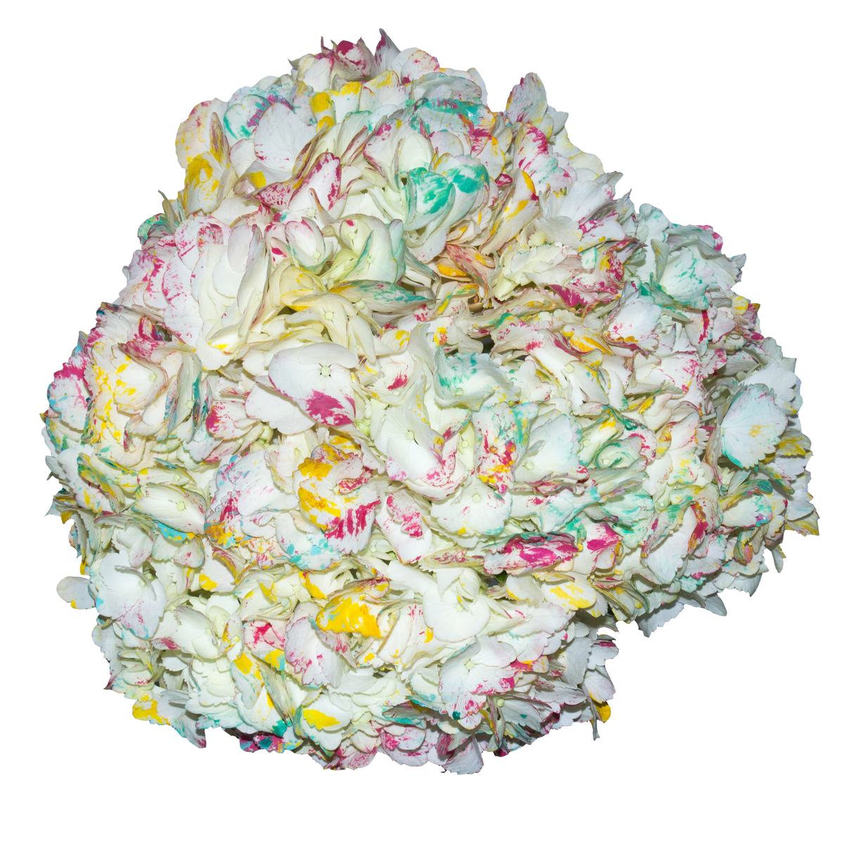Summer Confetti Airbrushed Hydrangeas – Flower Explosion