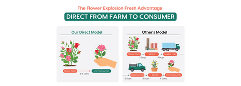 How it works – Flower Explosion