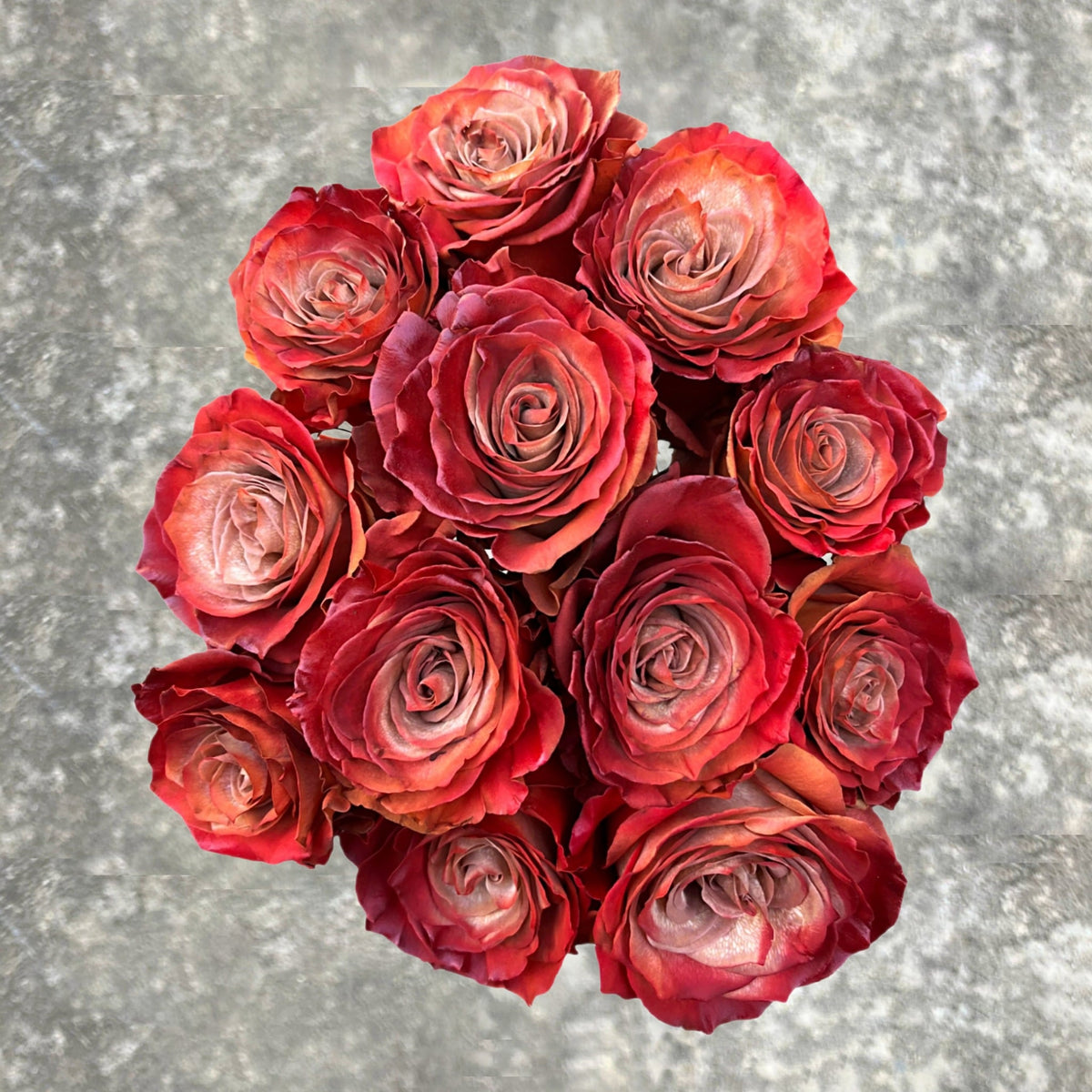 Autumn Twilight Roses – Deep Red & Mocha Brown Roses | Flower Explosion