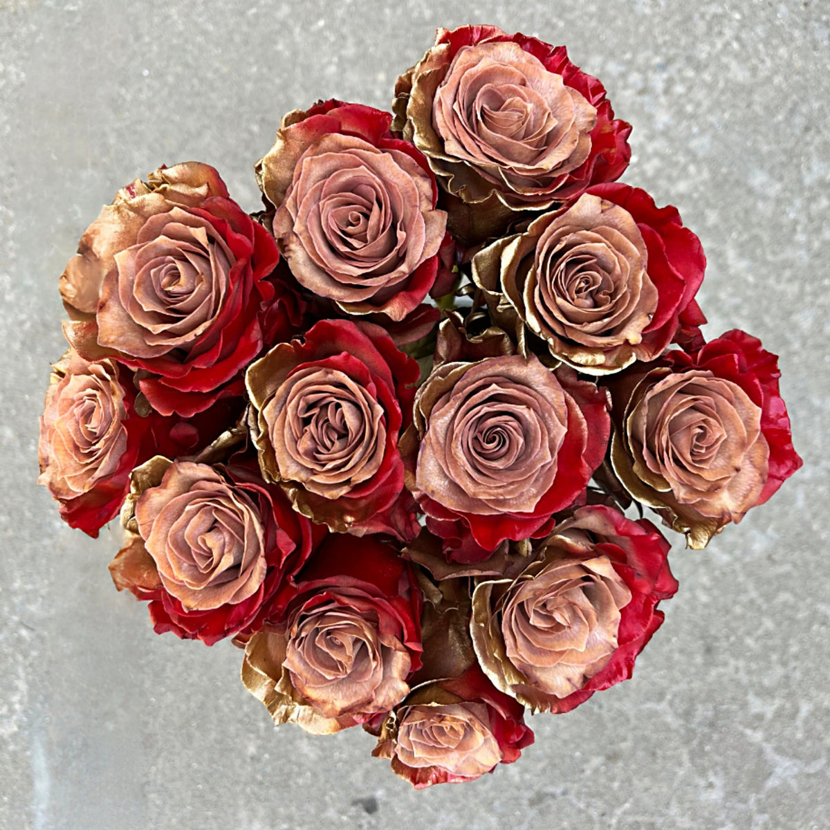 Whispering Poplar Roses – Cappuccino Brown with Red & Gold Petals ...