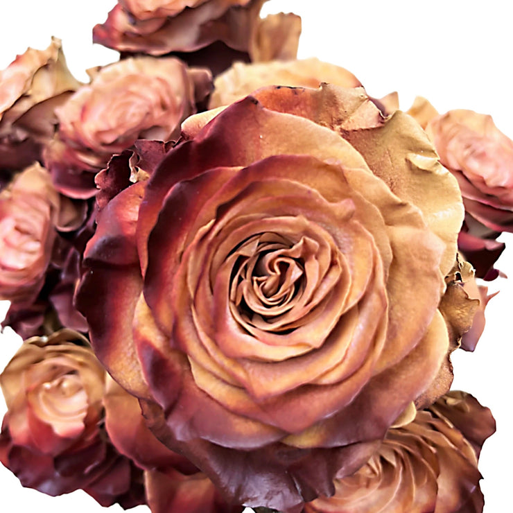 Dusky Plum Roses – Cafe & Burgundy Brown Roses | Flower Explosion
