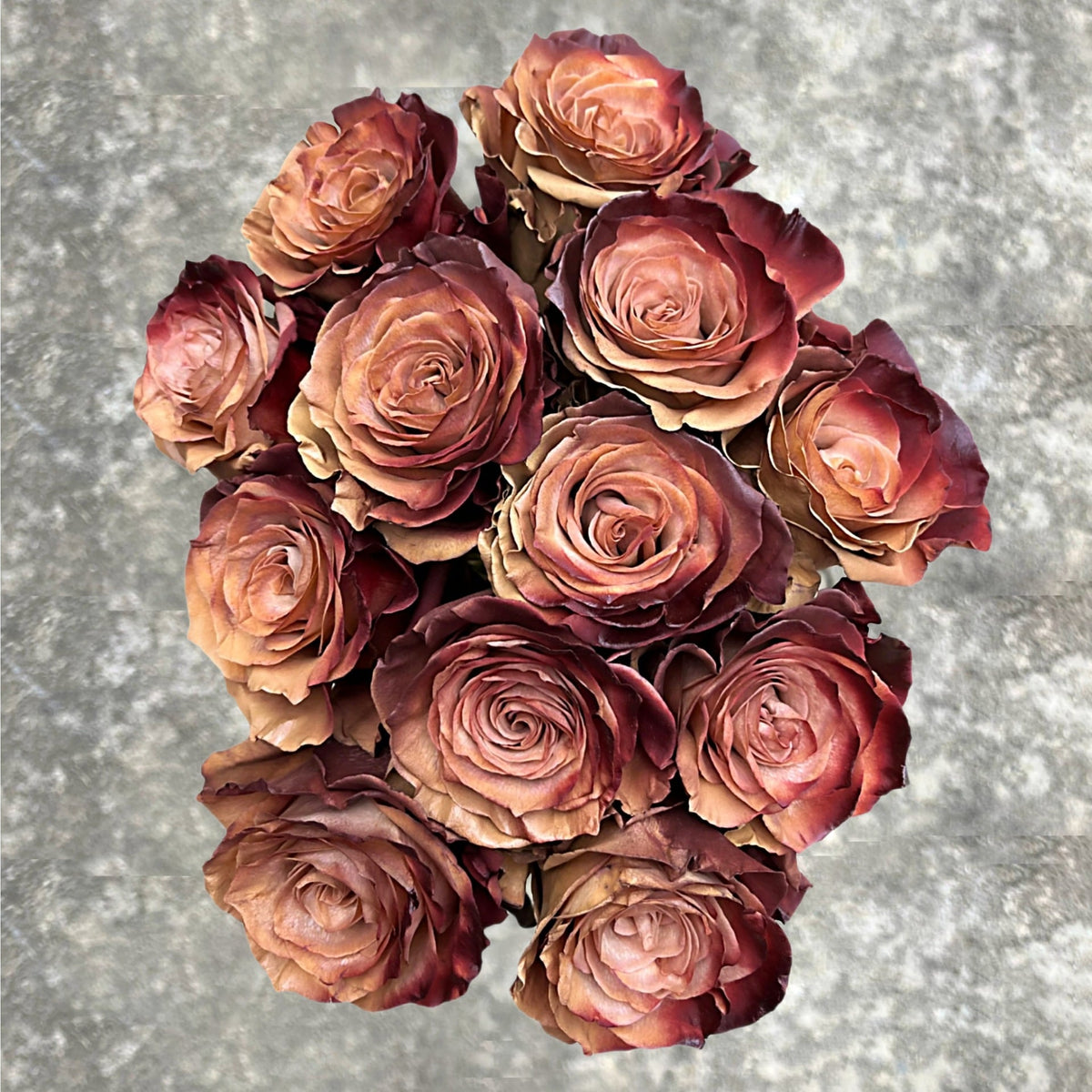 Dusky Plum Roses – Cafe & Burgundy Brown Roses | Flower Explosion