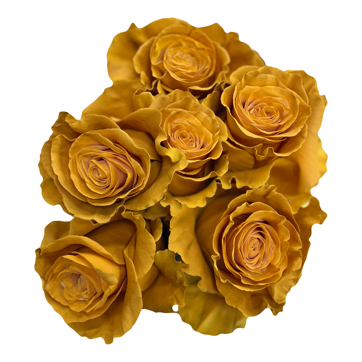 Pumpkin Spice Roses - Flower Explosion