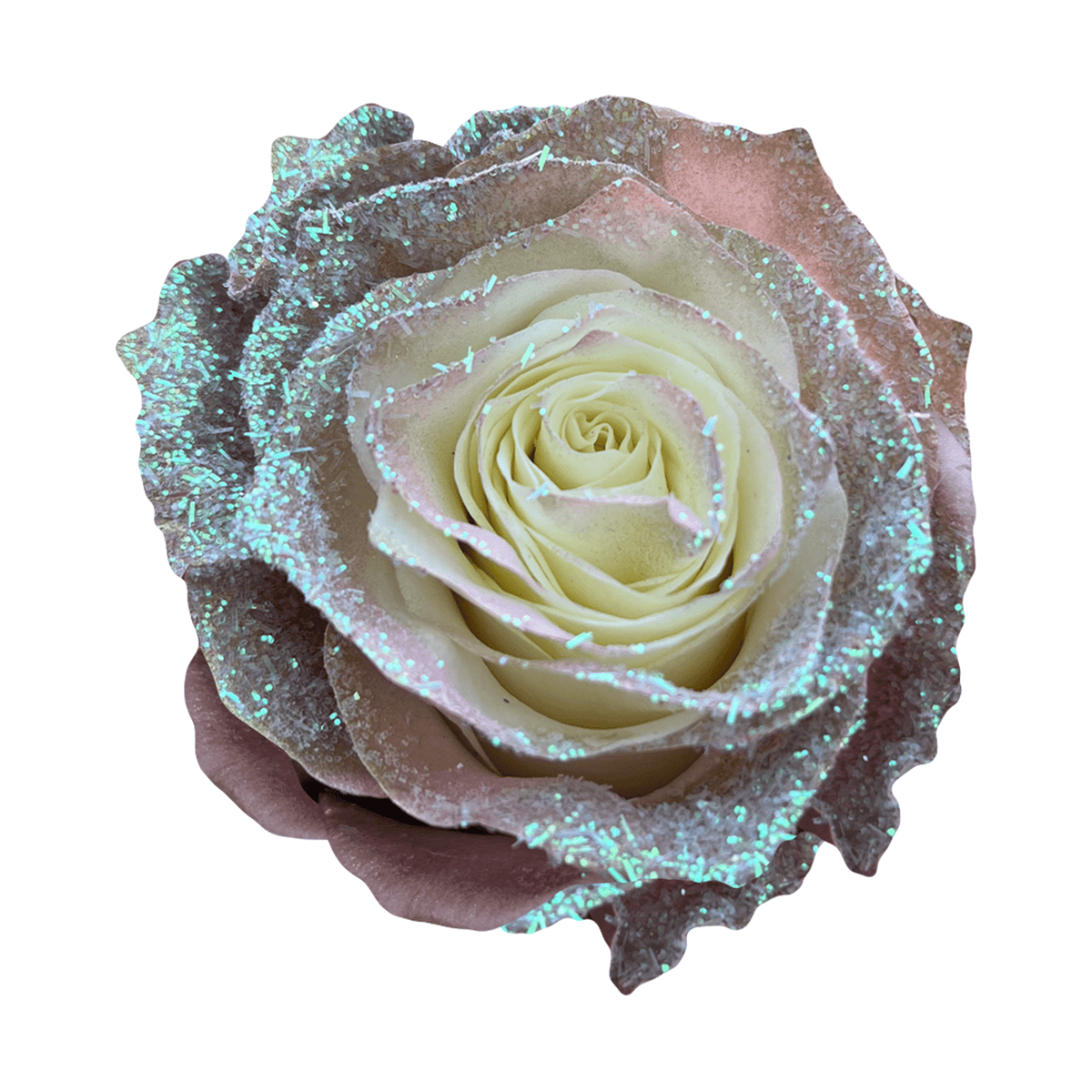 Shiny Gold Pink Roses – Flower Explosion