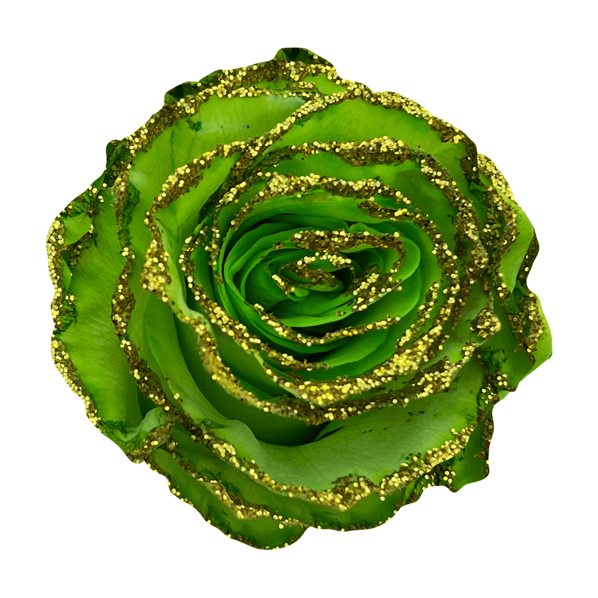 Shiny Kiwi Roses – Flower Explosion