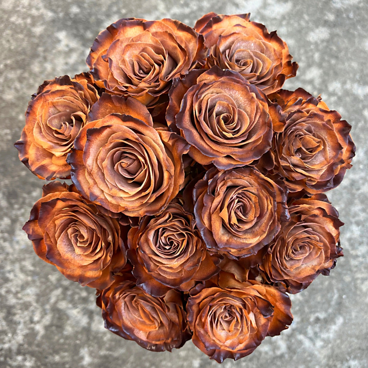Smoky Autumn Roses – Mocha Brown Fall Roses | Flower Explosion
