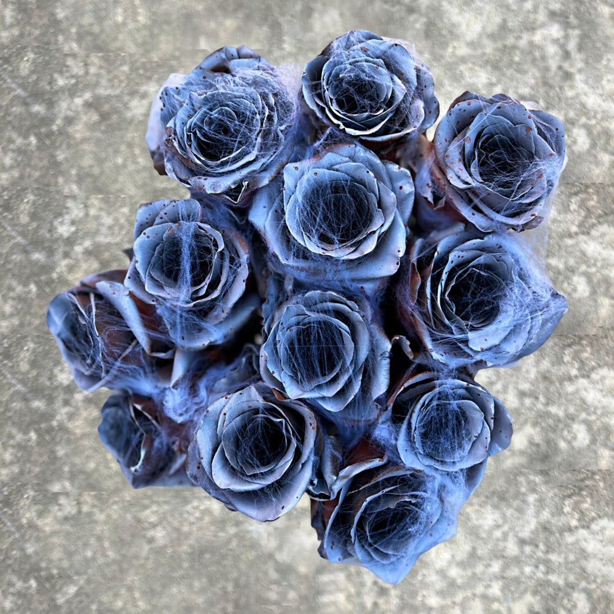 Spider Nest Halloween Roses - Frosted Black Roses & Spider Web Accents ...