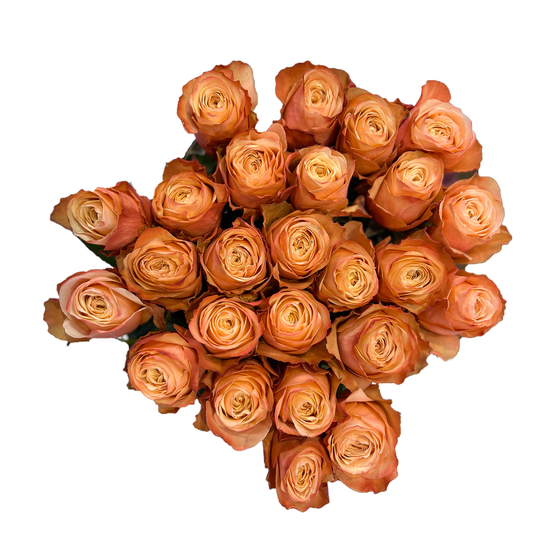 Kahala Roses - Wholesale Farm Direct Flowers – Flower Explosion