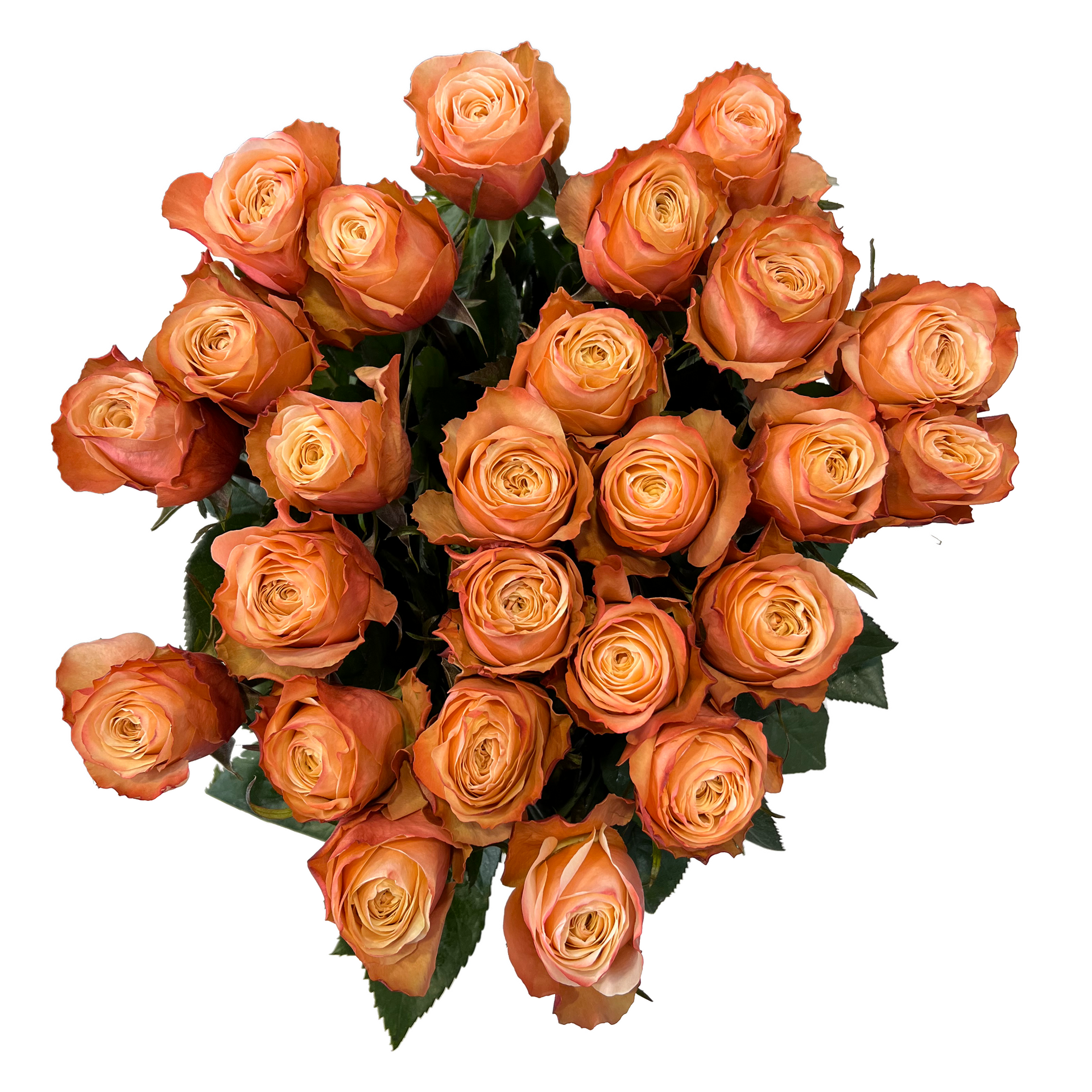 Kahala Roses - Wholesale Farm Direct Flowers – Flower Explosion