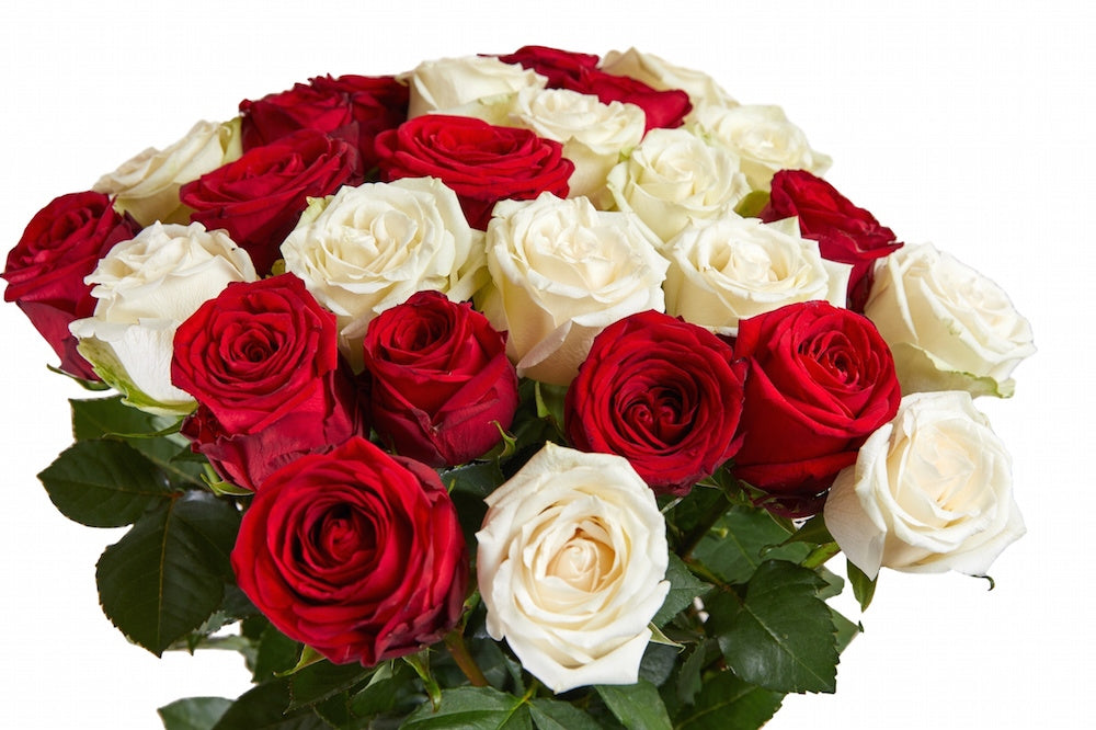 Assorted Fresh Roses - Red and White - 50 Stems – Flower Explosion