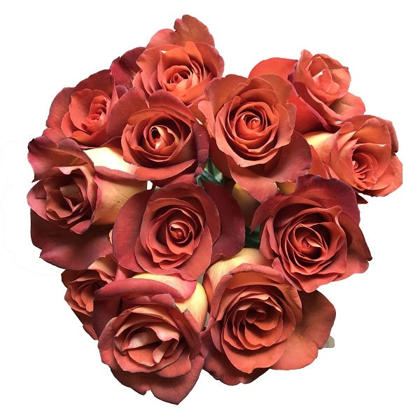 Coffee Break Rose | Dark orange & Brown Rose | Wedding Rose – Flower ...