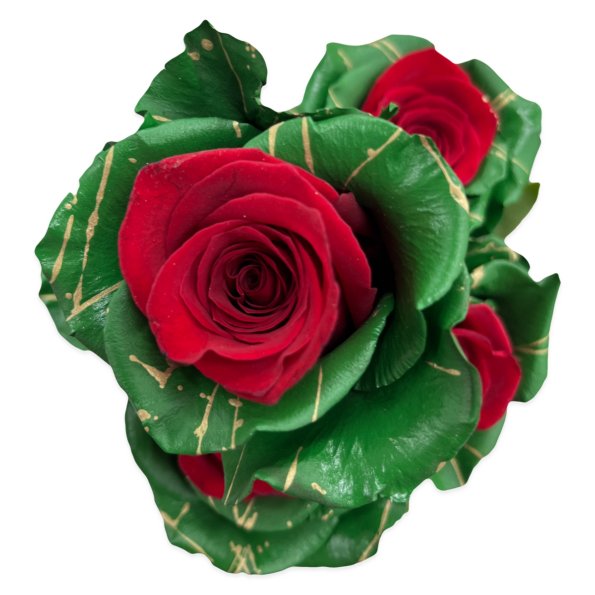 Feliz Navidad – Flower Explosion