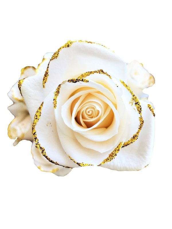 White Glitter Roses - Online Roses For Sale | Flower Explosion