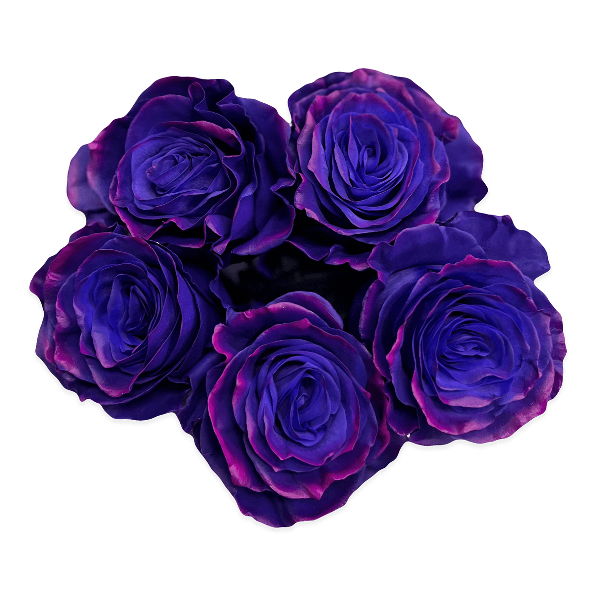 Purple Eva Roses - Flower Explosion