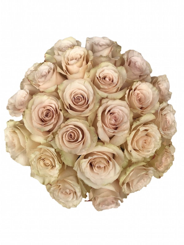 Quicksand Rose - Cream Champagne Roses For Sale – Flower Explosion