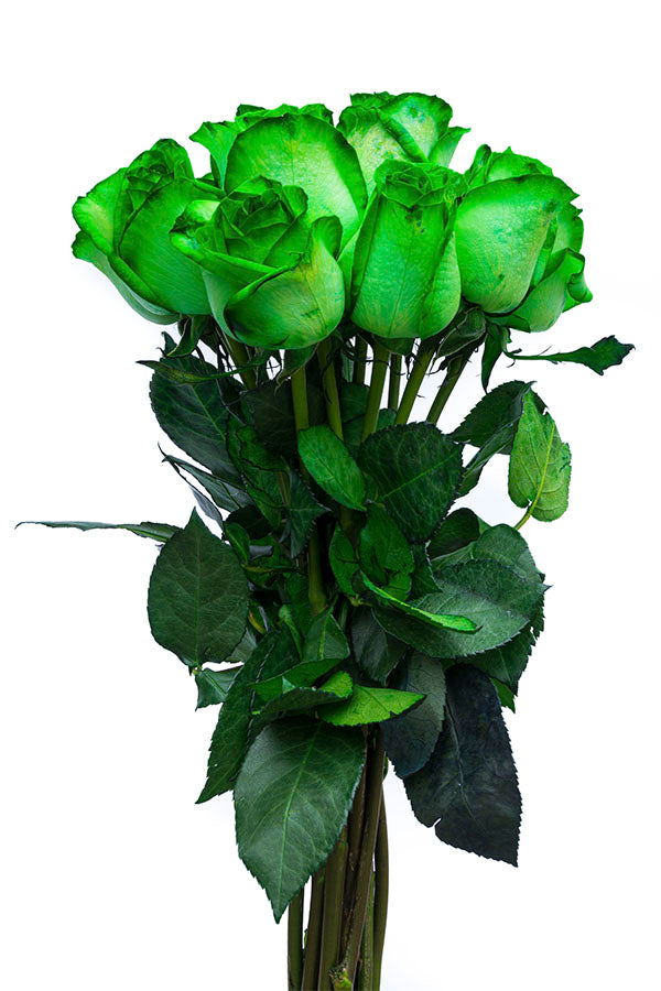 mint colored flowers