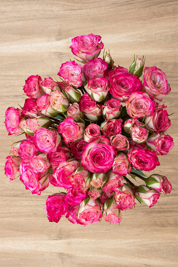Hot Pink & White Spray Roses – Flower Explosion