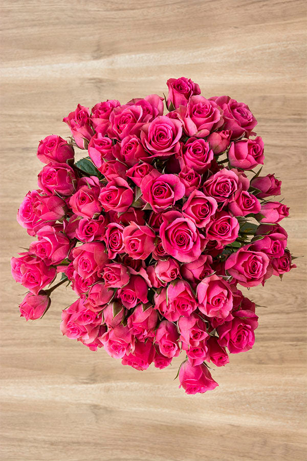 Hot Pink Spray Roses – Flower Explosion