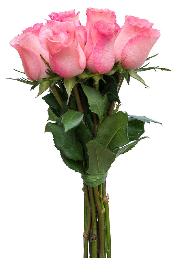 Buy Rossini Rose Bouquets for Wedding Arrangements Wholesale @ Flower ...
