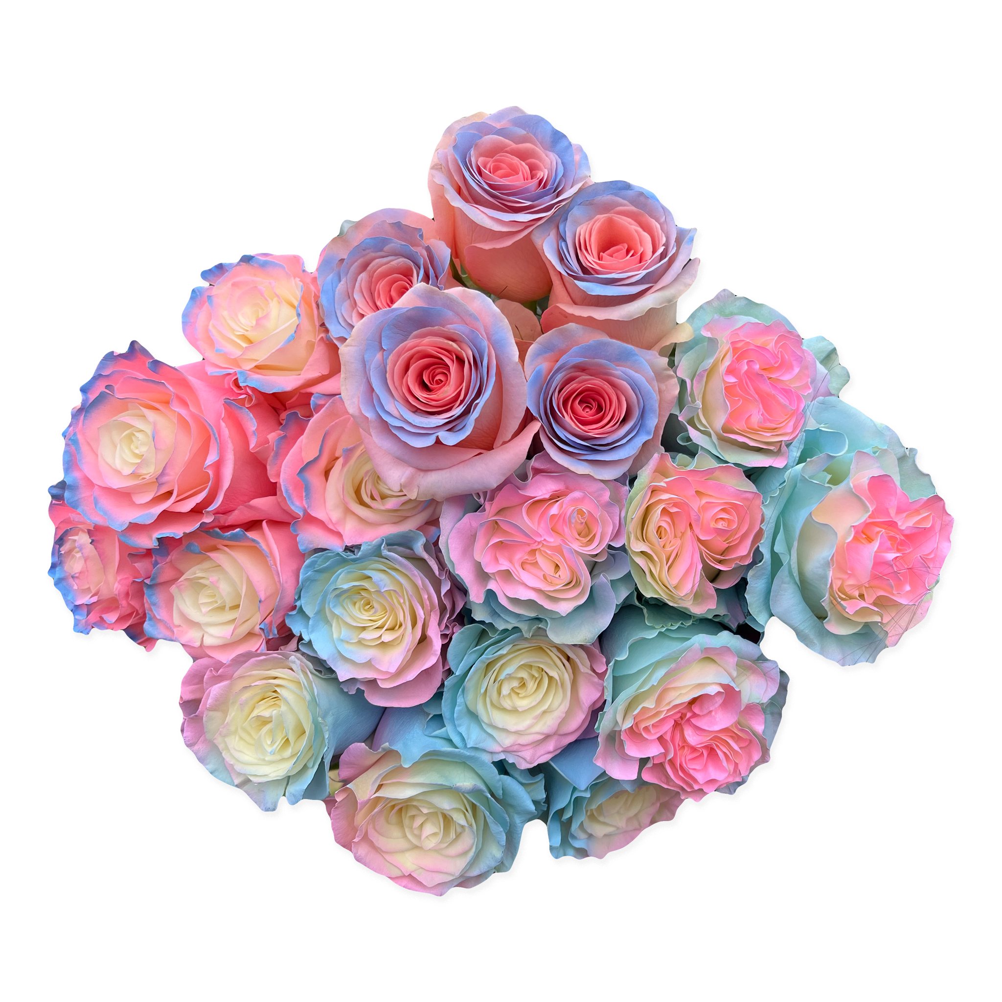Whimsical Roses Subscription Club – Flower Explosion